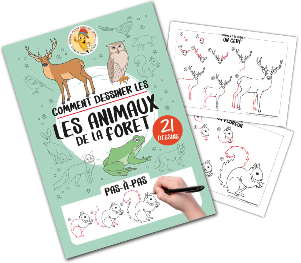 Cahier - animaux de la forêt - Dessin Pour Enfant